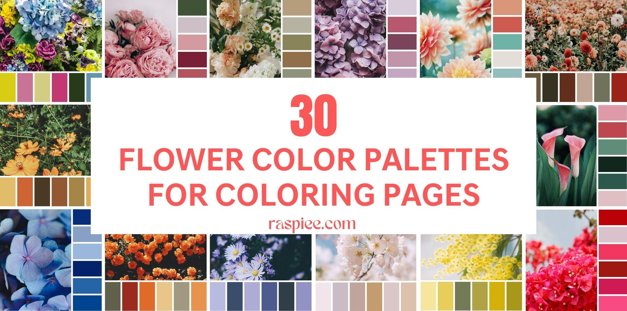30 Flower Color Palettes for Coloring Pages