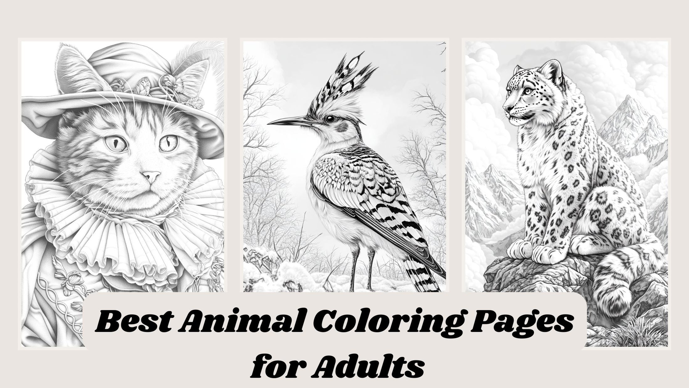 Best Animal Coloring Pages for Adults – RASPIEE