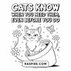 100 Bold and Easy Cute Cats Coloring Pages Printable PDF for All Ages ...