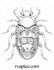 42 Steampunk Bugs Grayscale Coloring Pages Printable for Adults, PDF F ...