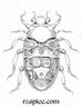 42 Steampunk Bugs Grayscale Coloring Pages Printable for Adults, PDF F ...