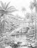 52 Tropical Oasis Grayscale Coloring Pages Printable for Adults, PDF F ...