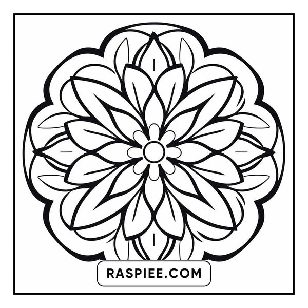 134 Bold and Easy Mandala Coloring Pages for Kids & Adults – RASPIEE