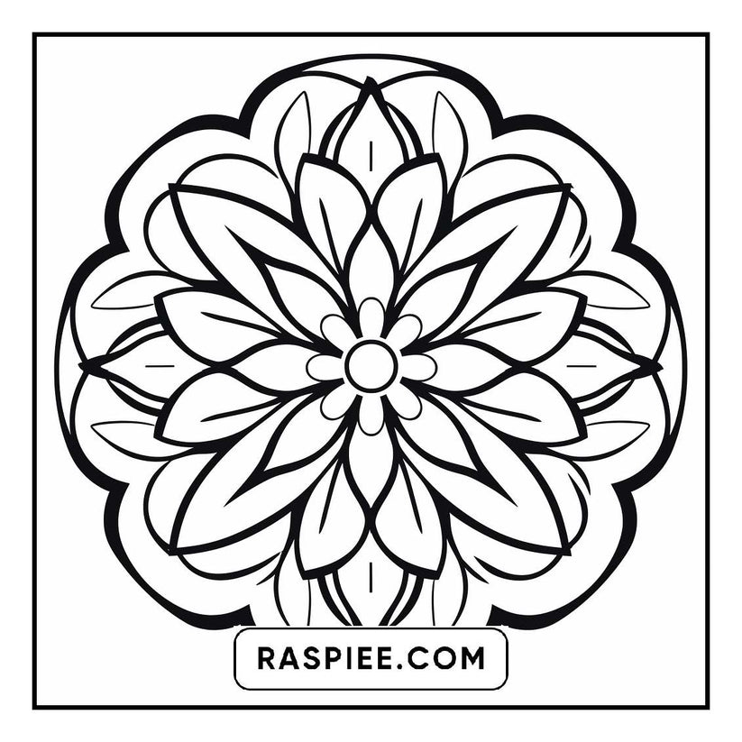 134 Bold and Easy Mandala Coloring Pages for Kids & Adults – RASPIEE
