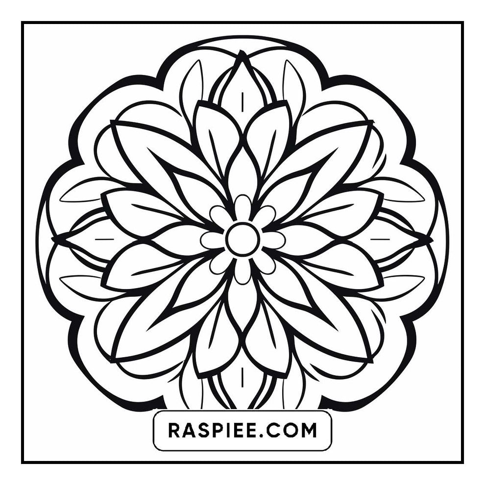 134 Bold and Easy Mandala Coloring Pages for Kids & Adults – RASPIEE
