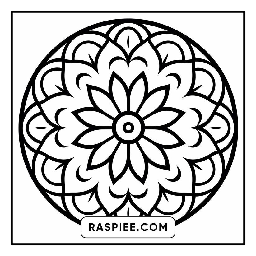 134 Bold and Easy Mandala Coloring Pages for Kids & Adults – RASPIEE