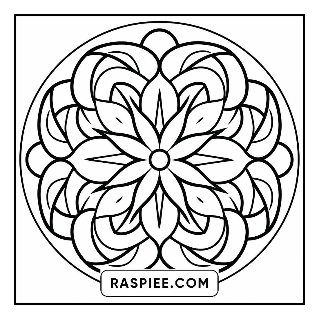 134 Bold and Easy Mandala Coloring Pages for Kids & Adults – RASPIEE