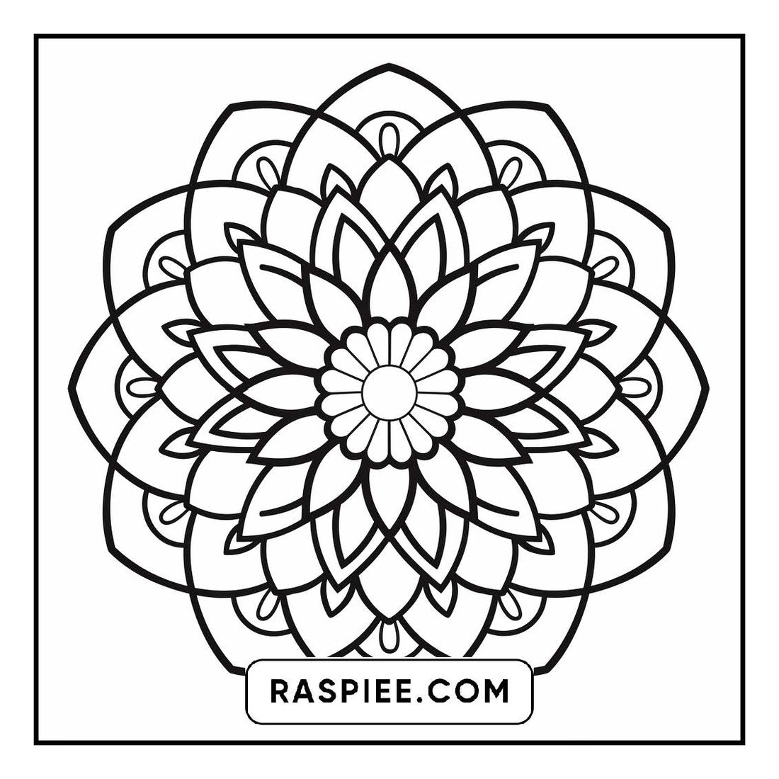 134 Bold and Easy Mandala Coloring Pages for Kids & Adults – RASPIEE