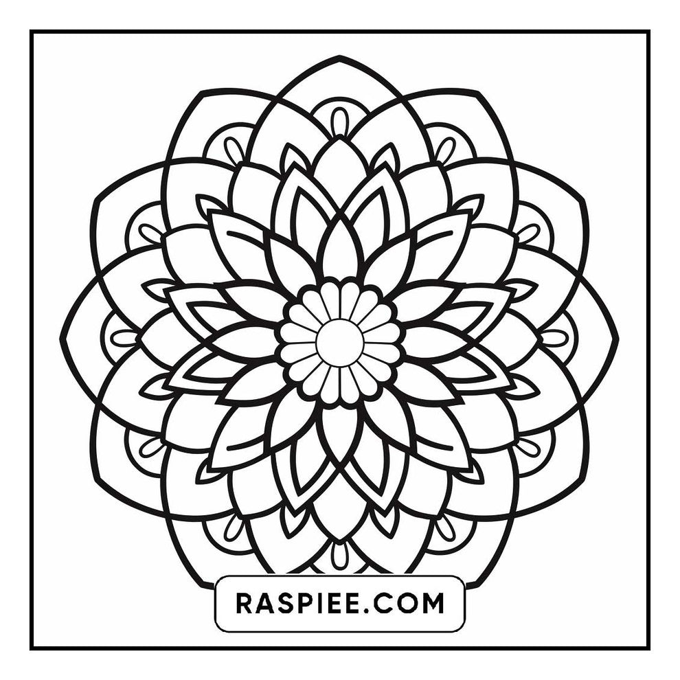 134 Bold and Easy Mandala Coloring Pages for Kids & Adults – RASPIEE