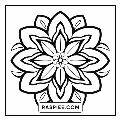 134 Bold and Easy Mandala Coloring Pages for Kids & Adults – RASPIEE