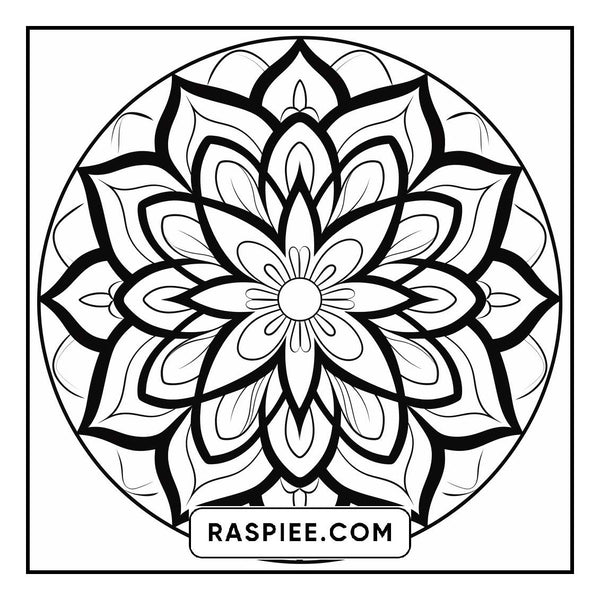 134 Bold and Easy Mandala Coloring Pages for Kids & Adults – RASPIEE