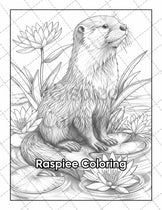50 Baby Woodland Creatures Adult Coloring Pages Printable PDF Instant ...