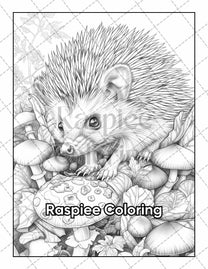 50 Baby Woodland Creatures Adult Coloring Pages Printable PDF Instant ...
