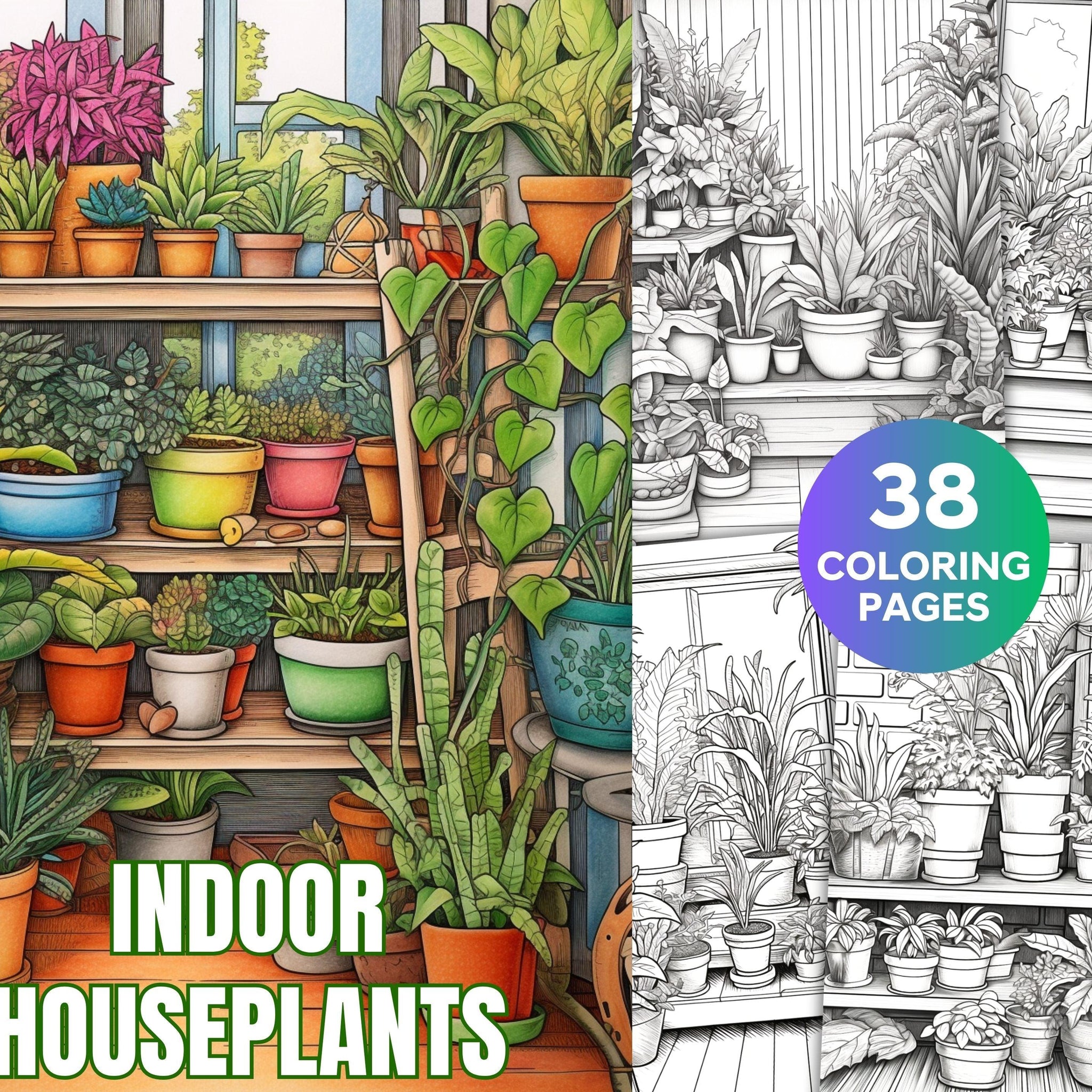 38 Indoor Houseplants Coloring Pages Printable for Adults, Grayscale C
