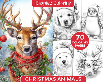 Collections – Raspiee Coloring