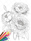 30 Botanical Flowers Printable Coloring Pages for Adults, Floral Grays ...