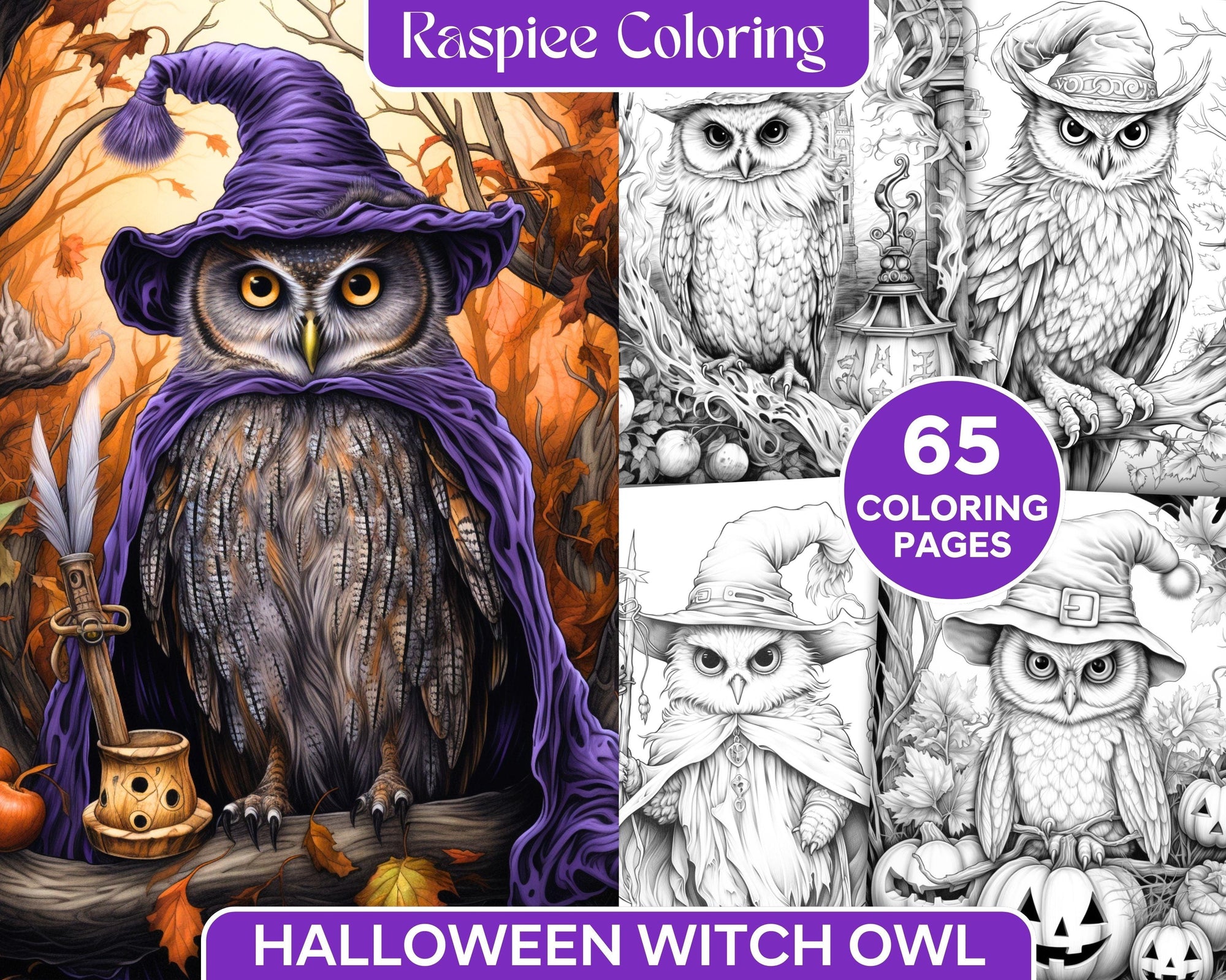 Halloween Witch Owl Grayscale Coloring Pages for Adults and Kids, Prin