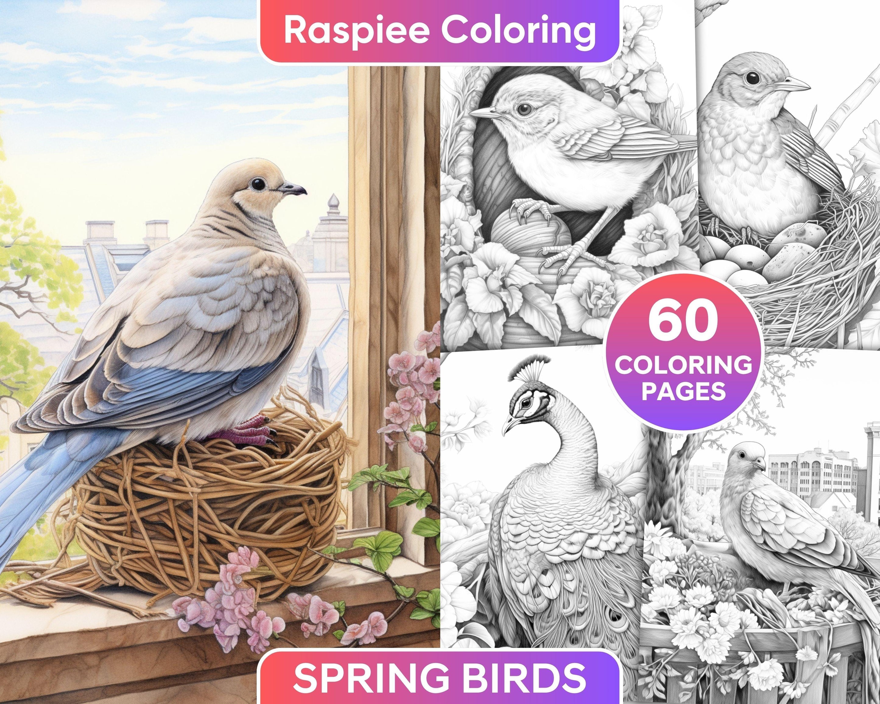 60 Spring Birds Grayscale Adult Coloring Pages, Printable PDF Instant ...