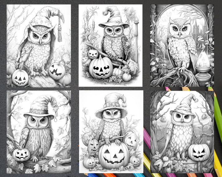 Halloween Witch Owl Grayscale Coloring Pages for Adults and Kids, Prin