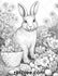 40 Easter Bunny Grayscale Adult Coloring Pages, Printable PDF Instant ...