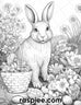 40 Easter Bunny Grayscale Adult Coloring Pages, Printable PDF Instant ...