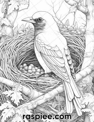 60 Spring Birds Grayscale Adult Coloring Pages, Printable PDF Instant ...