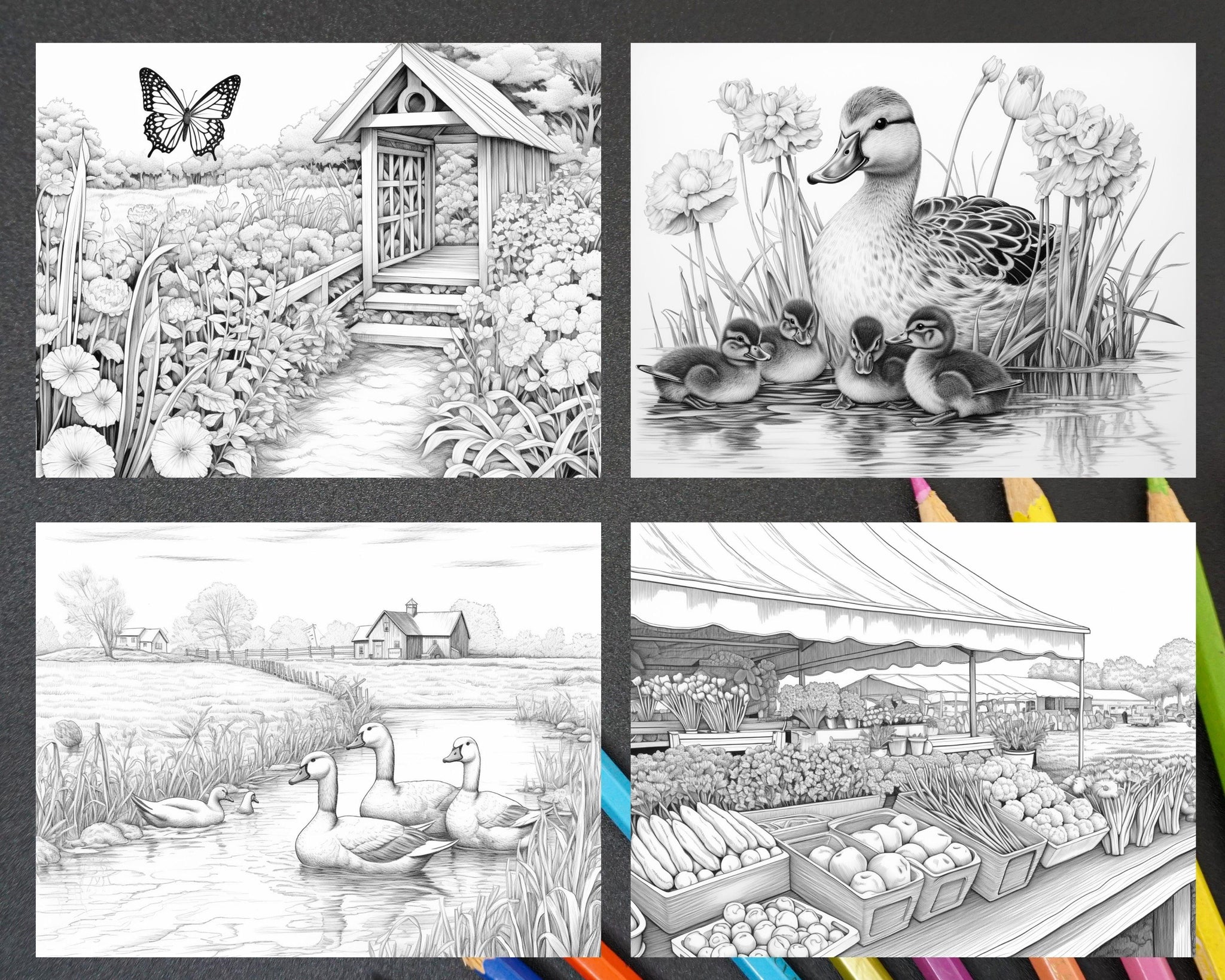 40 Spring Farm Life Grayscale Adult Coloring Pages, Printable PDF Inst ...