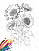 30 Botanical Flowers Printable Coloring Pages for Adults, Floral Grays ...