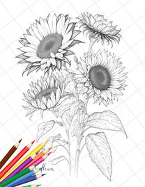 30 Botanical Flowers Printable Coloring Pages for Adults, Floral Grays ...