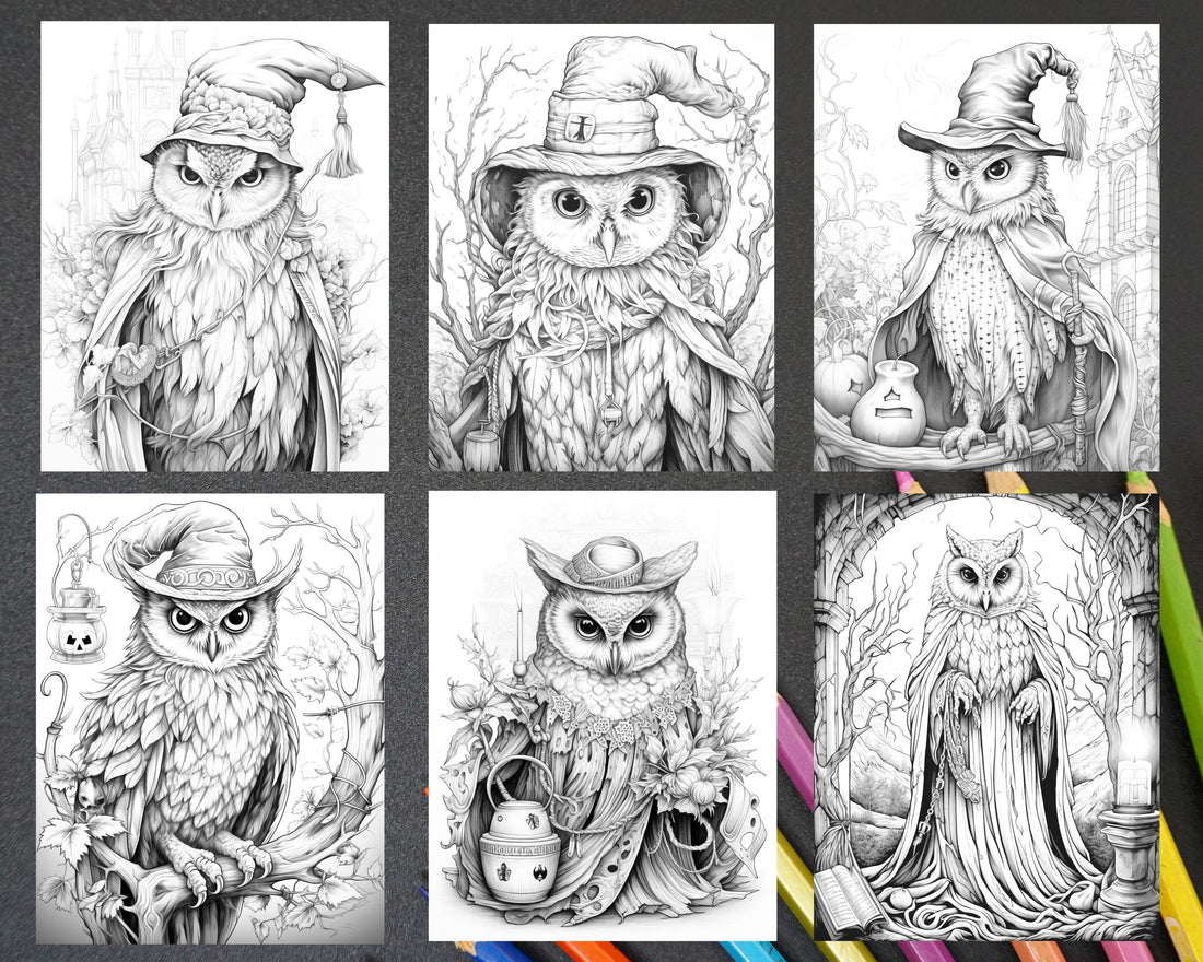 Halloween Witch Owl Grayscale Coloring Pages for Adults and Kids, Prin