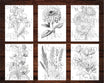 30 Botanical Flowers Printable Coloring Pages for Adults, Floral Grays ...
