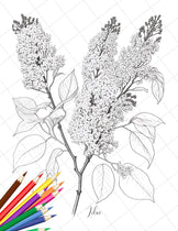 30 Botanical Flowers Printable Coloring Pages for Adults, Floral Grays ...