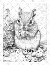 50 Baby Woodland Creatures Adult Coloring Pages Printable PDF Instant ...