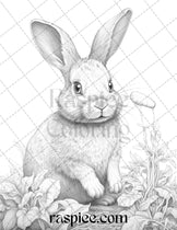 50 Rabbit Garden Grayscale Coloring Pages Printable for Adults, PDF Fi ...