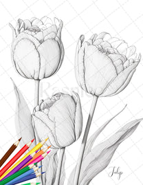30 Botanical Flowers Printable Coloring Pages for Adults, Floral Grays ...