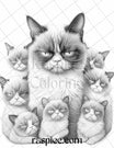 50 Grumpy Cat Grayscale Coloring Pages Printable for Adults, PDF File ...